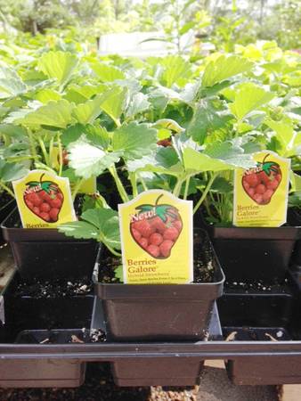 Victoria County Master Gardener Association - 2015 Apr 26